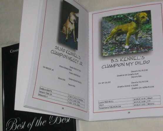 "BEST OF THE BEST" - APBT BOOK ALL IN COLOR, Book of Champions | eBay