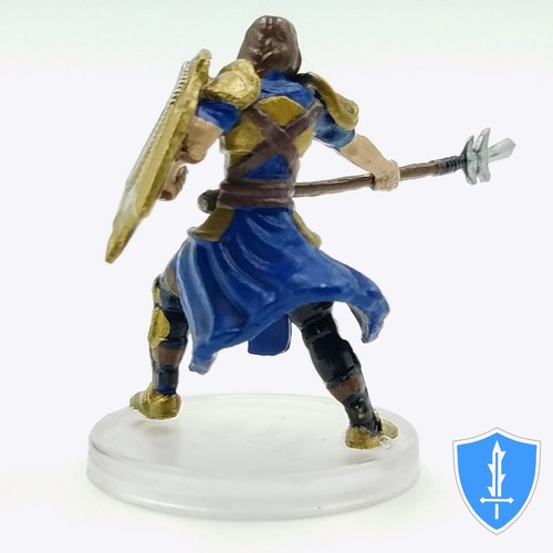 Kashaw Vesh - Guests of Critical Role 1-6 D&D Cleric Paladin Miniature ...