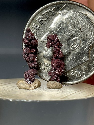 SS Rocks - 2 Cuprite, Chalcotrichite, Copper (The Open Pit, Ray ...