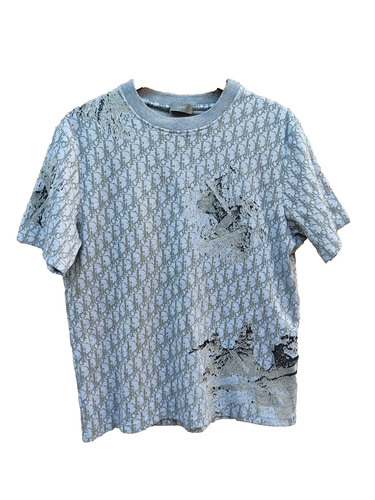 Dior Daniel Arsham Grey Oblique T-Shirt | eBay
