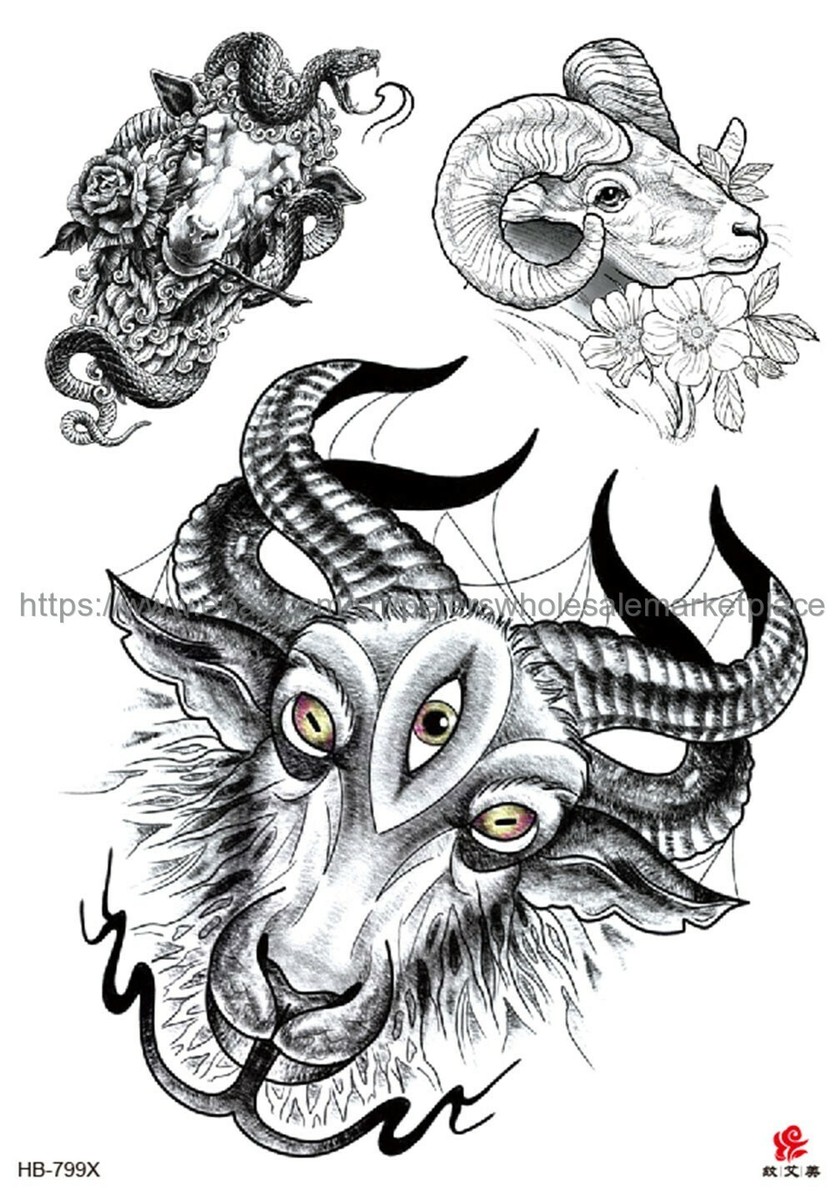 Ram Skull Tattoo Outline