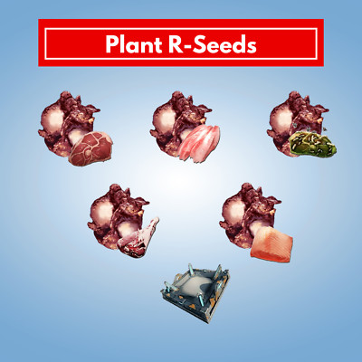 ARK Survival Evolved XBOX PVE R - Seeds + tek crop plot (seed) | eBay