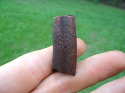 JUVENILE SLOTH TOOTH FLORIDA FOSSILS ICE AGE EXTINCT CLAW CORE BONES ...