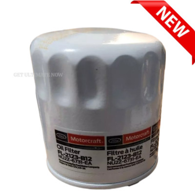 Engine Oil Filter Motorcraft FL-2123-B12 | eBay