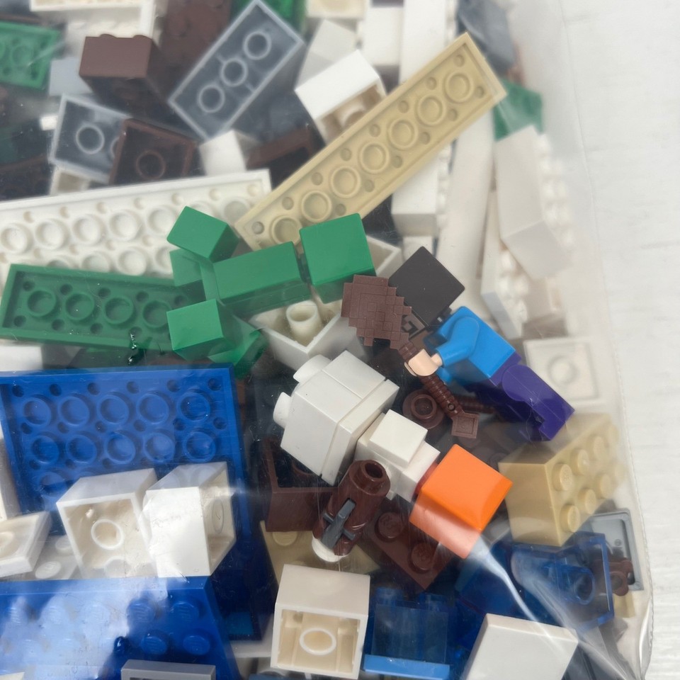 LEGO Minecraft The Snow Hideout 21120 Building Kit Pre-owned | eBay