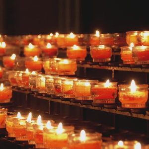 MOJO MAGIC MAN | eBay Stores