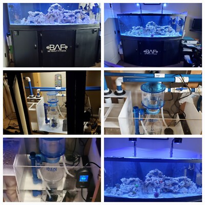 very large used fish tanks aquariums | eBay