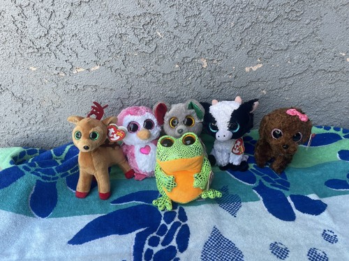 Beanie Boo Bundle | eBay