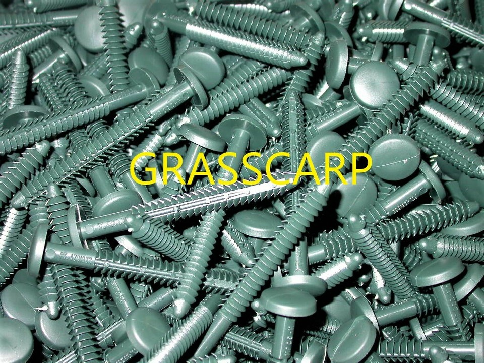 (60+5 FREE) MIDNIGHT GREEN Shutter-Loc Fasteners Shutters Bulk Spike ...