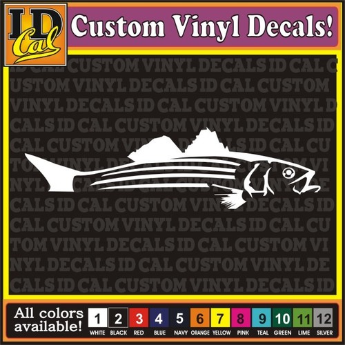 Striped Bass Striper Rockfish fishing truck boat window vinyl decal ...