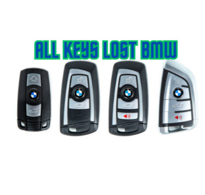 BMW/MINI COOPER FEM/BDC KEY PROGRAMMING MAIL IN SERVICE (F CHASSIS) | eBay