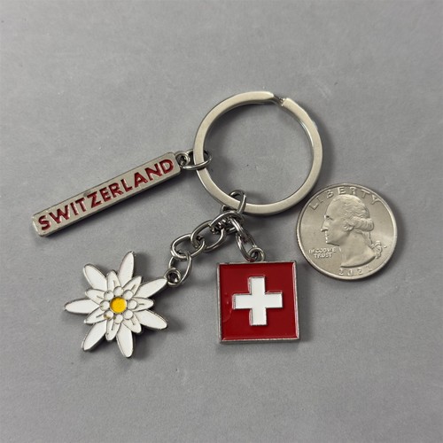 Switzerland Flag Edelweiss Flower Charm Travel Souvenir Keychain Key ...