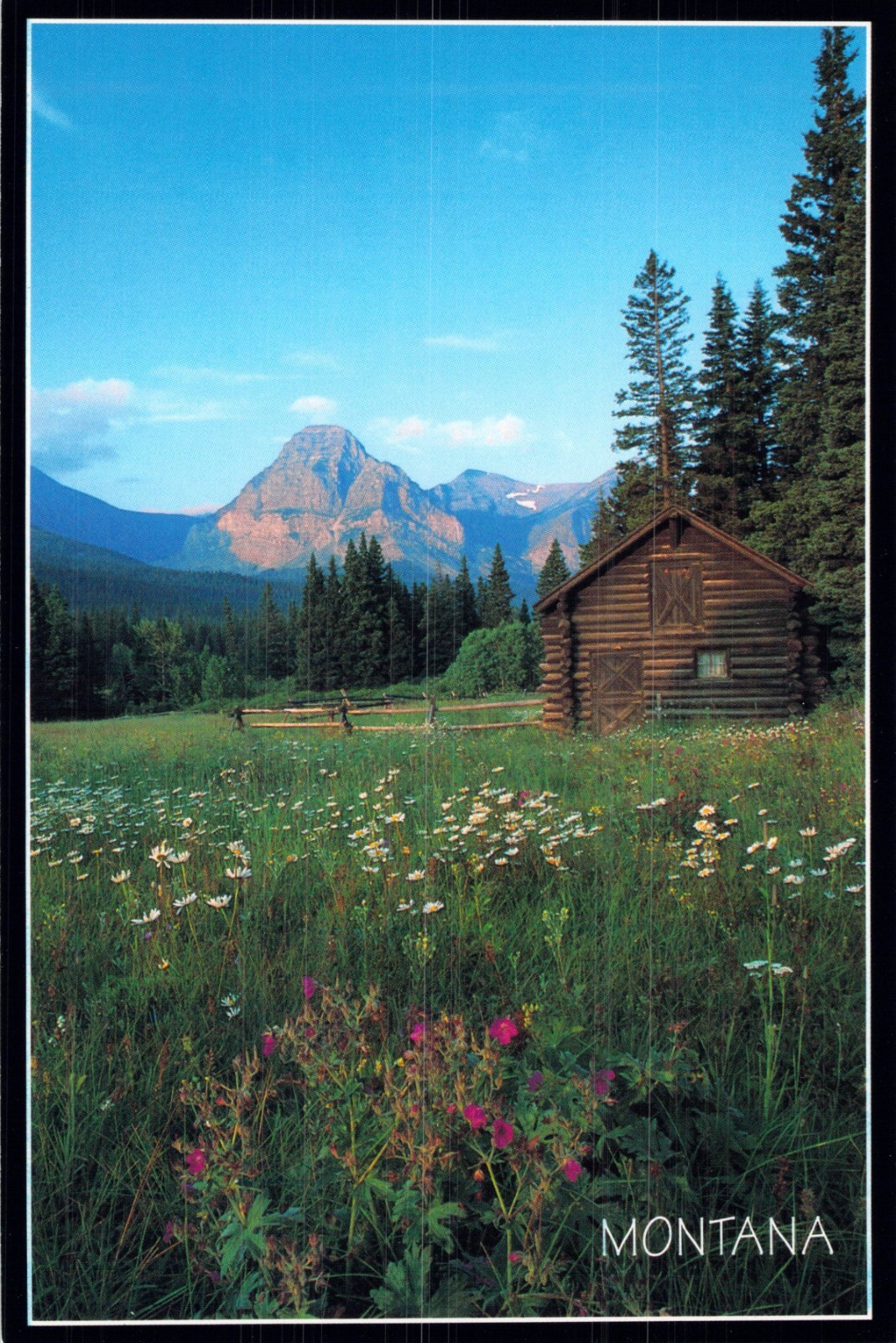 Springtime in the Montana Rockies-Wildflowers-Mountain View-Unposted ...