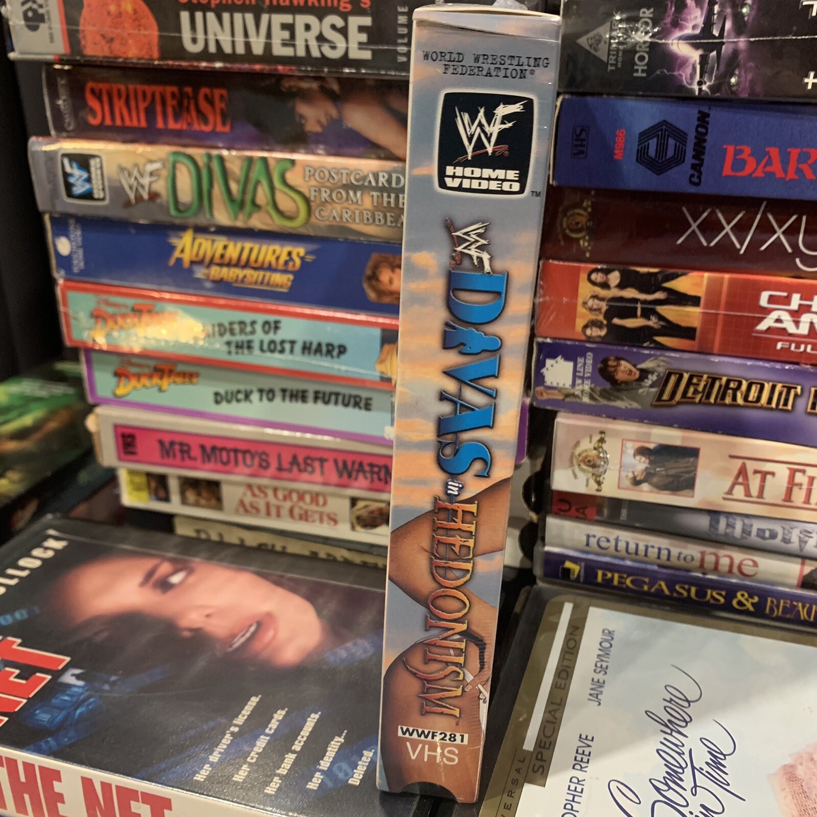 WWF / WWE Divas in Hedonism 2001 New VHS Sealed Chyna Trish Lita Debra ...