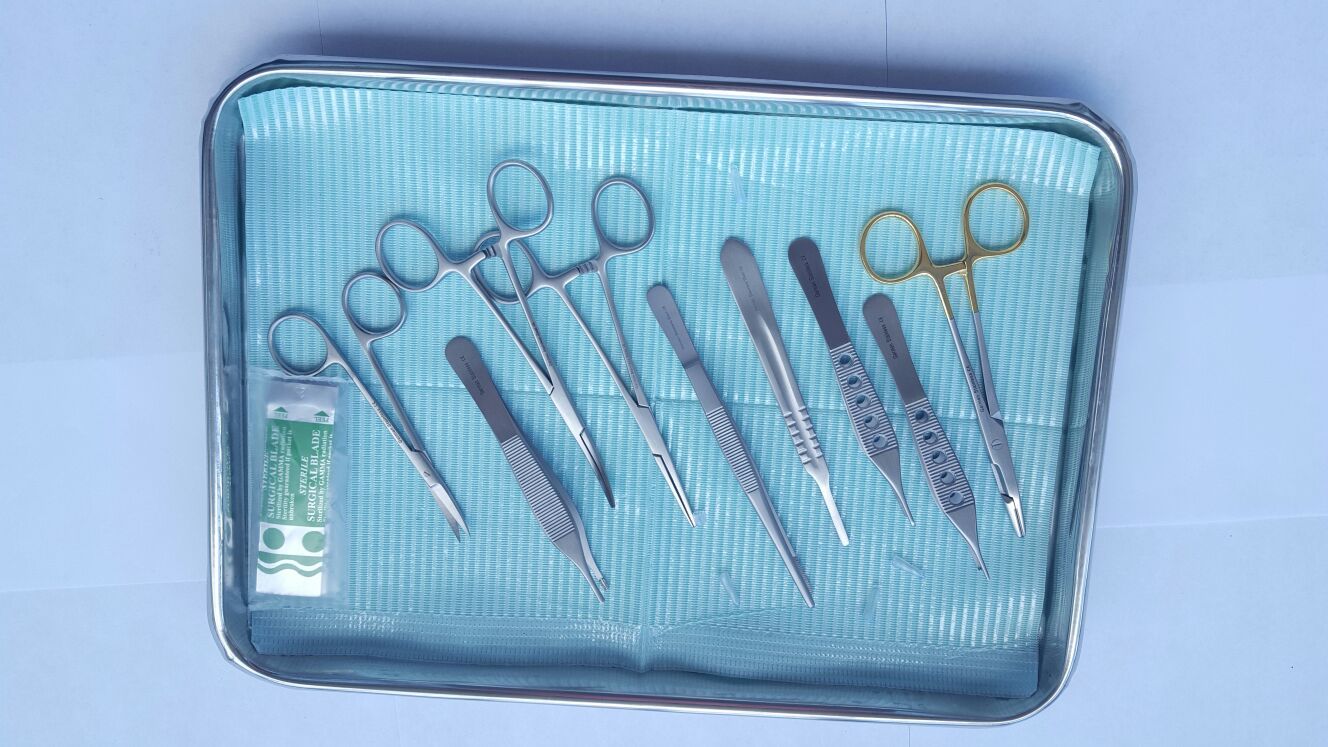 Veterinary Canine Spay Pack Kit German Stainless | eBay