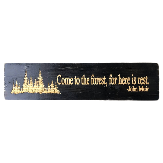 John Muir Quote Tattoos