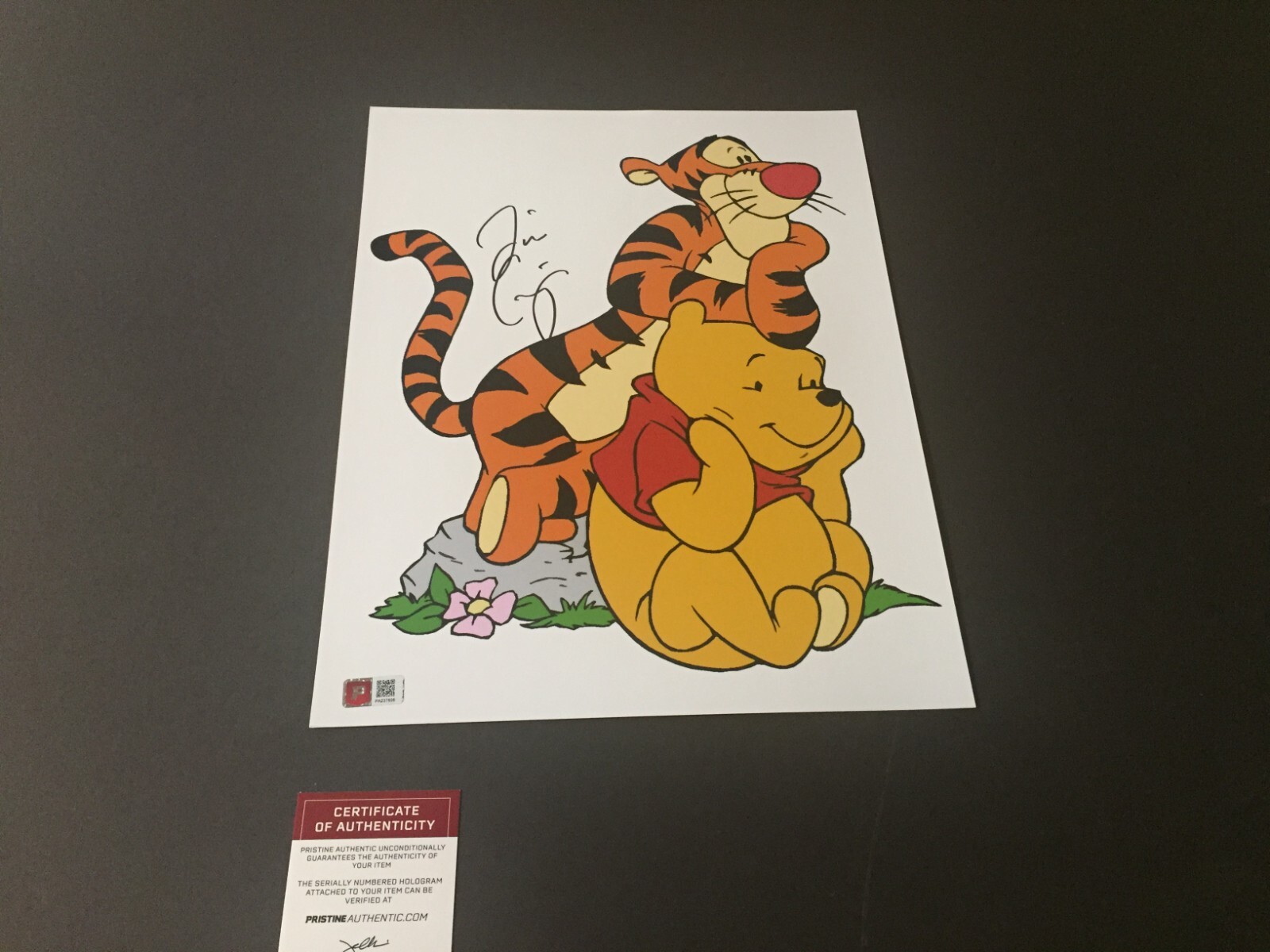 Jim Cummings Voice of Winnie the Pooh and Tigger Signed 11X14 Photo-PA ...