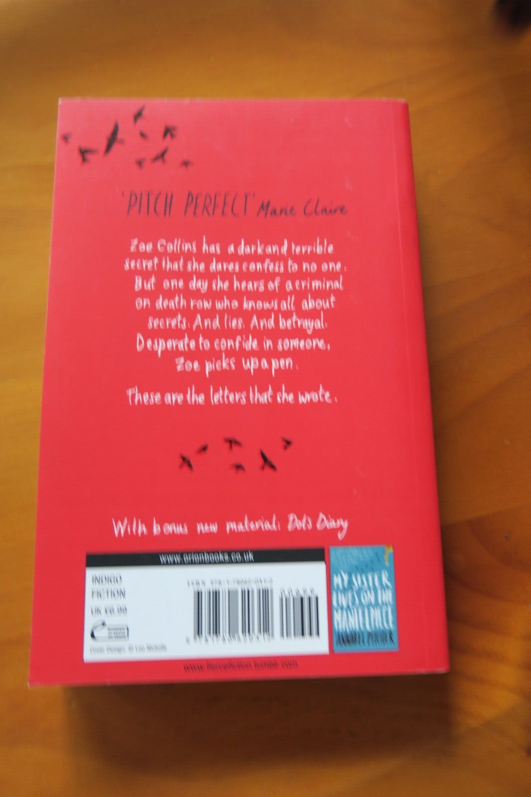 Ketchup Clouds by Annabel Pitcher - Paperback. | eBay