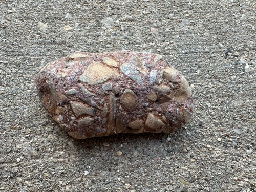 2.4 OZ WISCONSIN GREAT LAKES PUDDING STONE JASPER CONGLOMERATE SPECIMEN ...