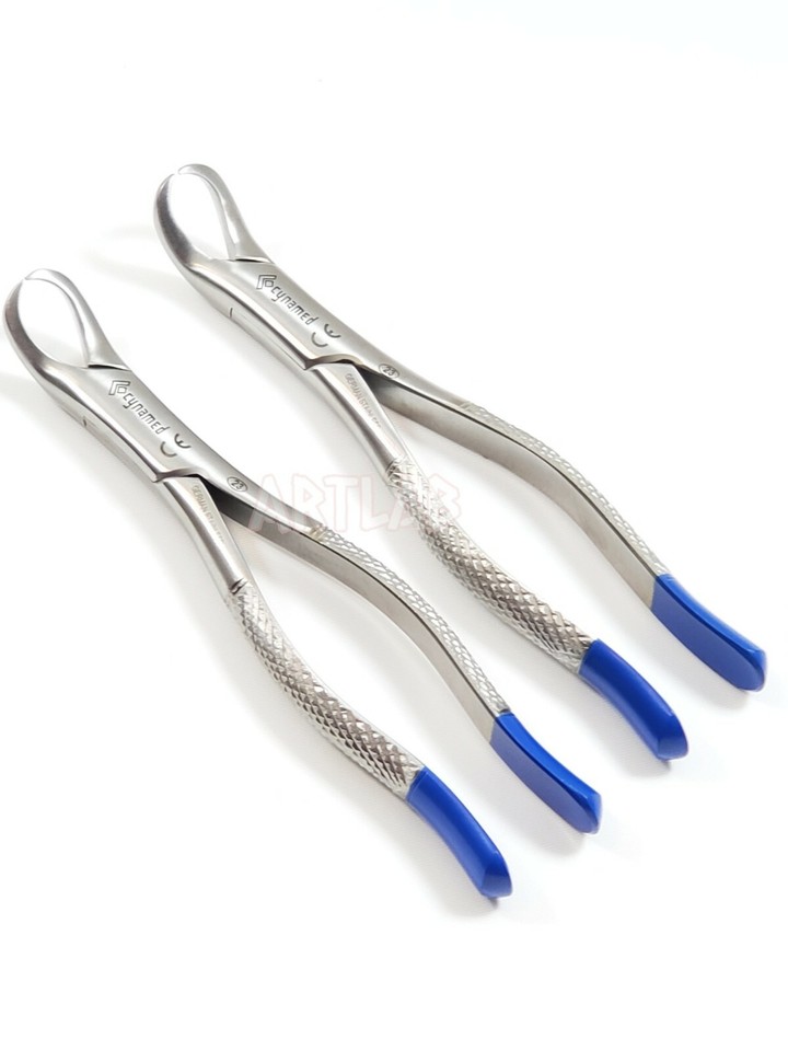 2 GERMAN COW HORN LOWER MOLAR DENTAL TOOTH EXTRACTION EXTRACTING ...