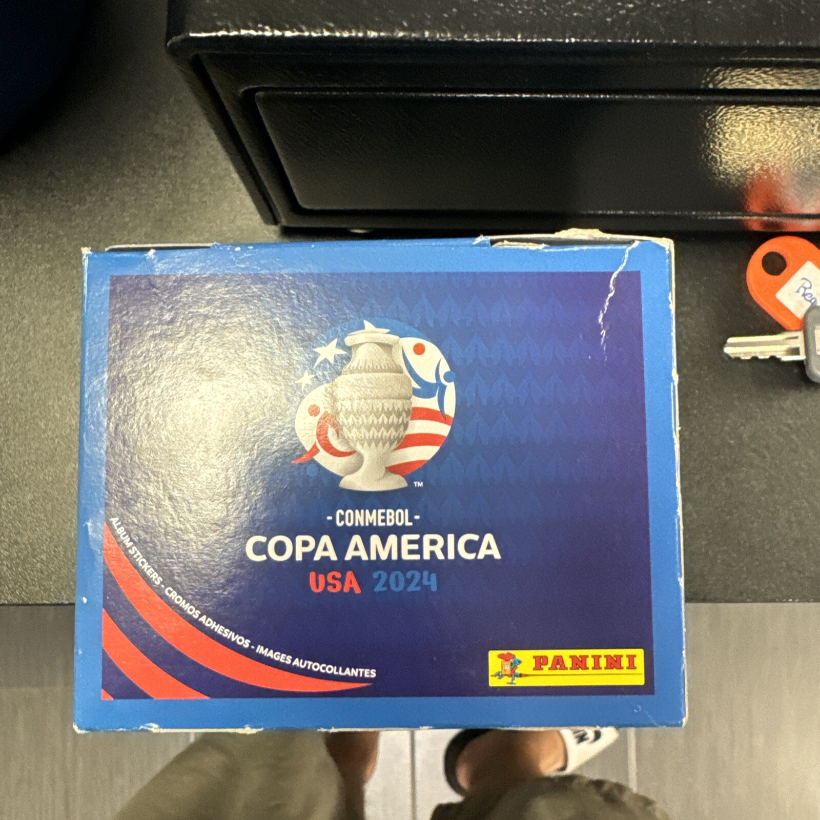 Panini Copa America 2024 Sticker Box (50 | Grelly USA