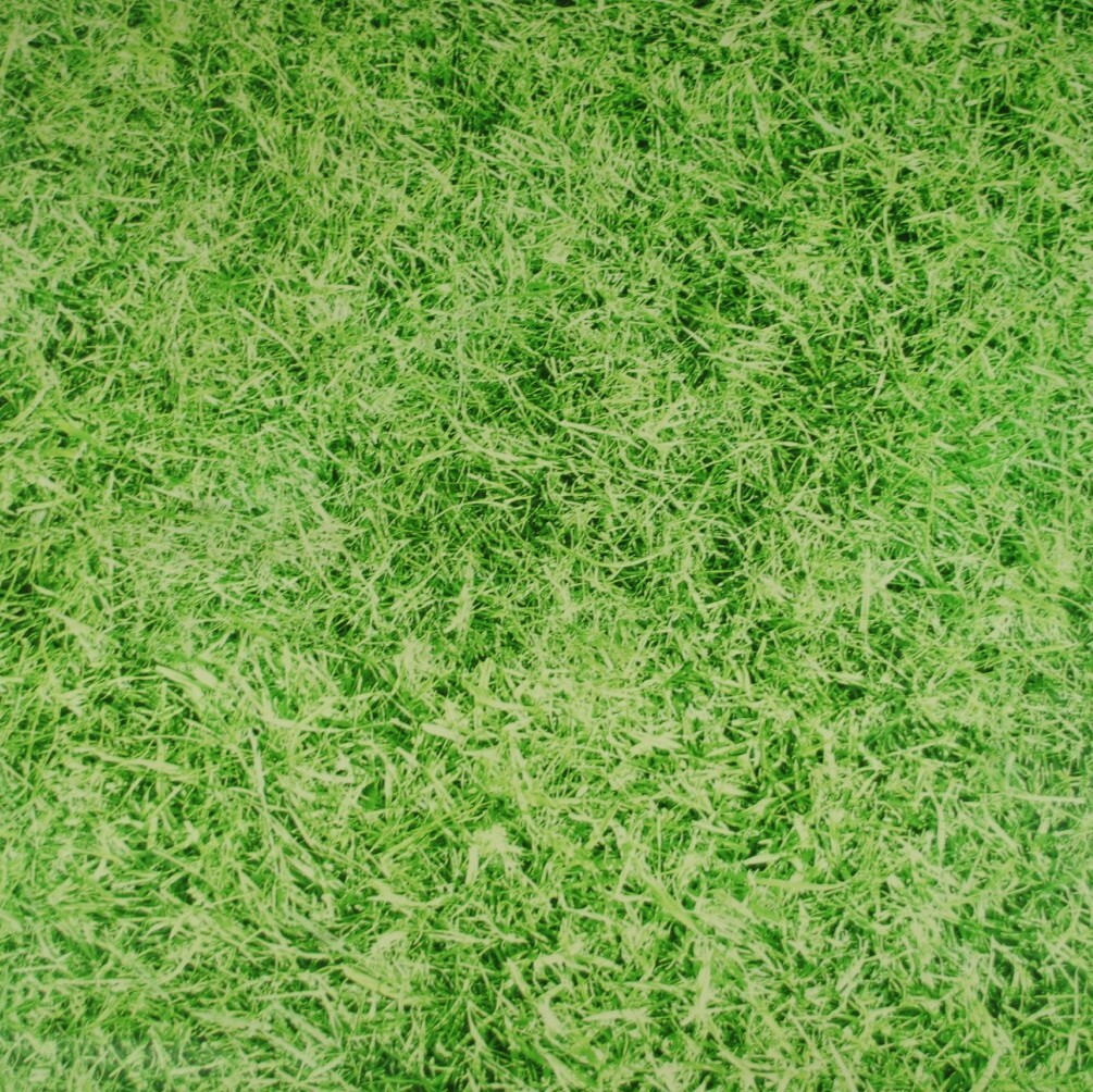 GRASS VINYL WIPE CLEAN PVC TABLECLOTH | eBay UK