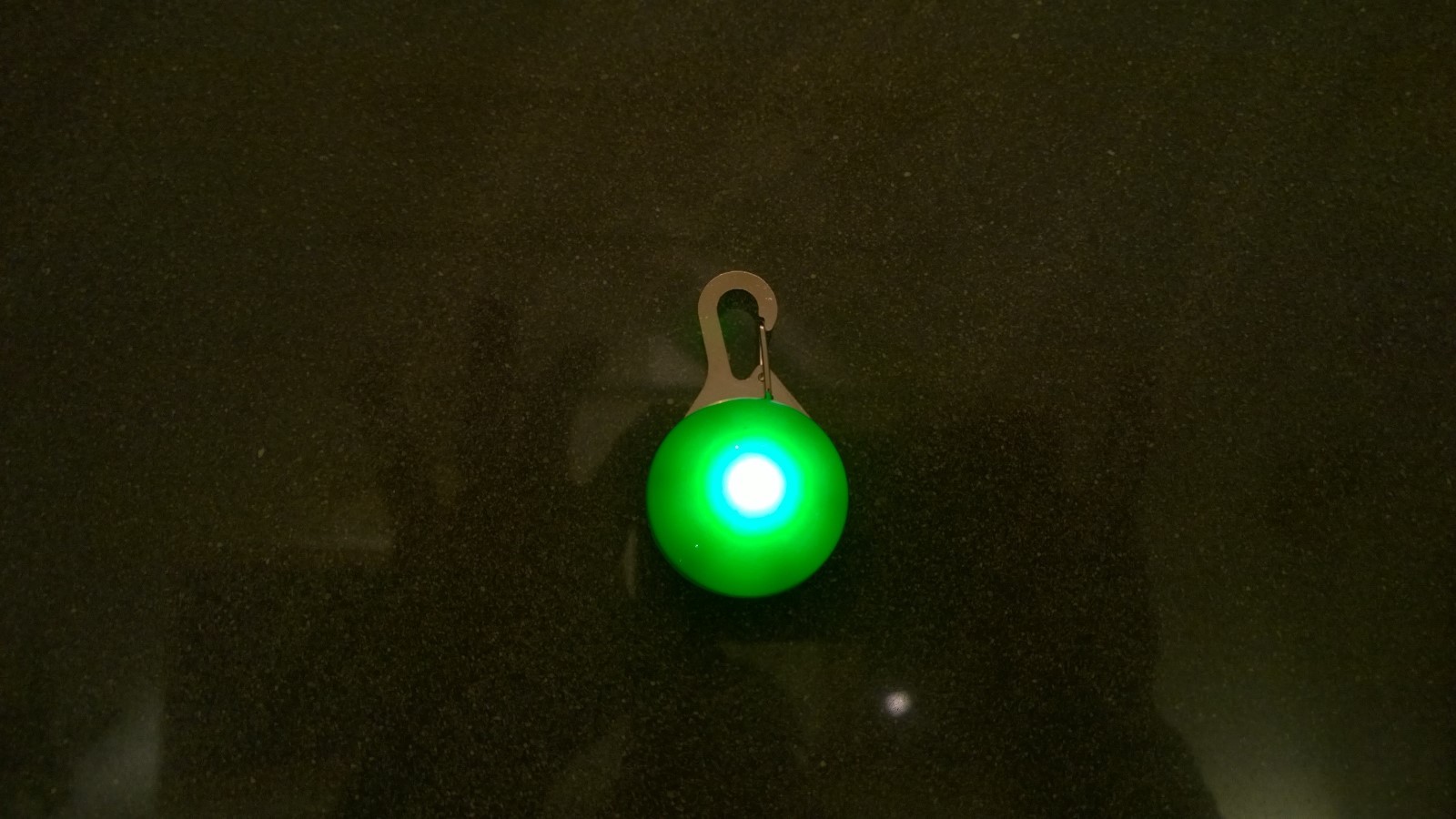 Light up LED tag for dogs, kids, bags, night, clip on, multi flashing ...