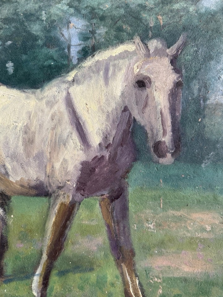 Studio Di Cavallo - Dipinto Fine Del XIX Secolo - Cavalli - Equestre | eBay