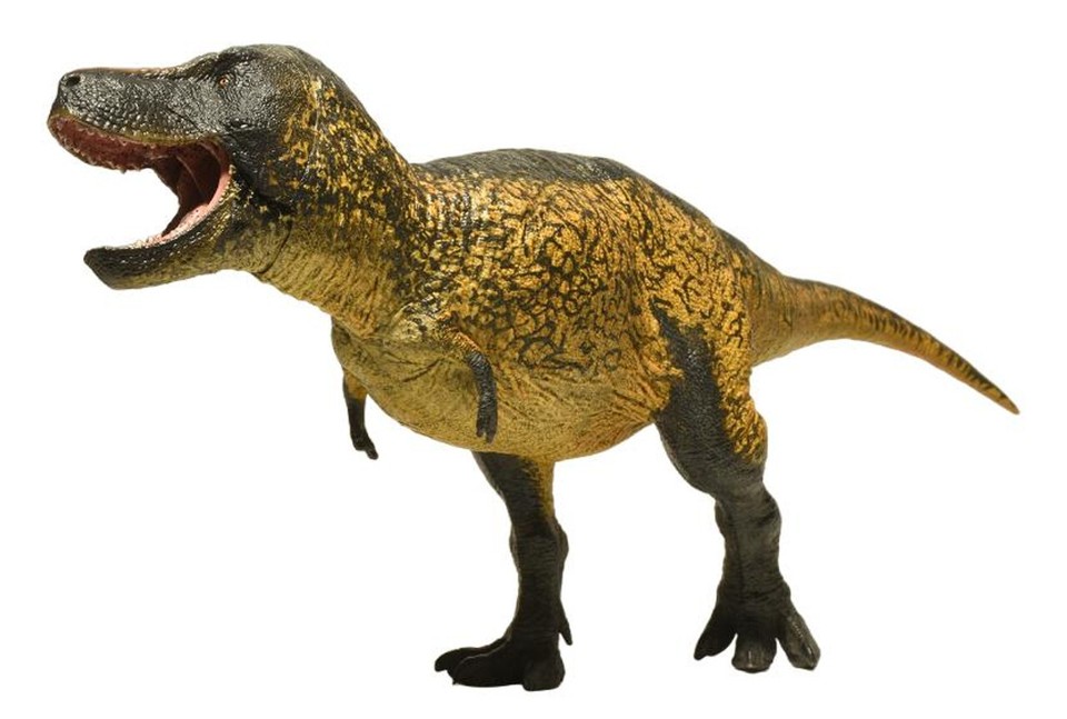 Tyrannosaurus "Sue" Dinosaur Prehistoric T-rex Mesozoic Model Eofauna ...