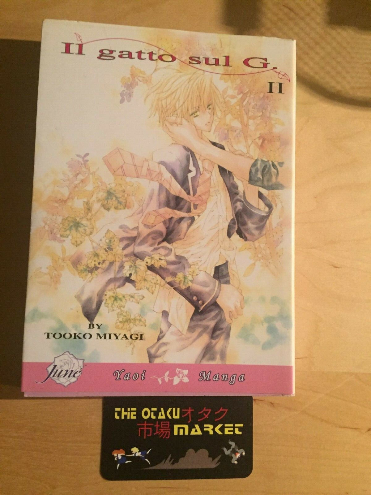 Il Gatto Sul G vol 2 by Tooko Miyagi / NEW BL Boys Love manga from June ...