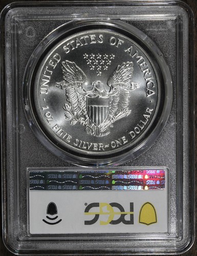 1993 (MS69) American Silver Eagle PCGS $1 ASE - Random Serial Number | eBay