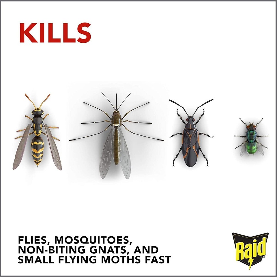 Raid Flying Insect Killer Formula Outdoor Fresh Scent, Aerosol 15 oz | eBay