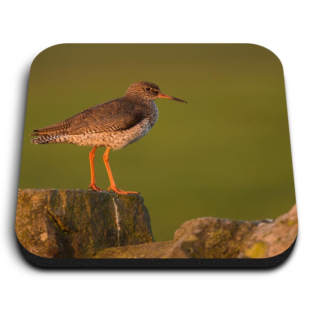 1x Square Fridge MDF Magnet Redshank Wading Bird England UK #51886 | eBay