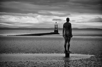 Bloomsbury Studies in Continental Philosophy Ser.: Lacanian Realism ...