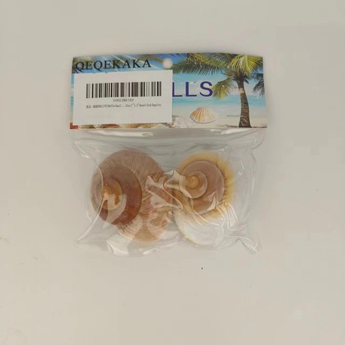 Extra Large Hermit Crab Shells 2 Pack Natural Snail Shells for Large ...