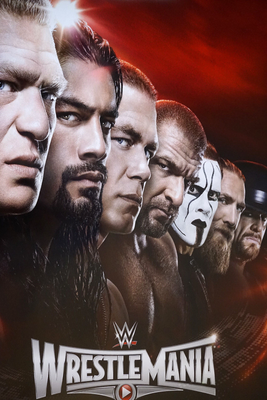 Wrestlemania 31 Poster Sting