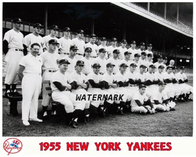 MLB 1955 New York Yankees Team Picture Black & White 8 X 10 Photo ...
