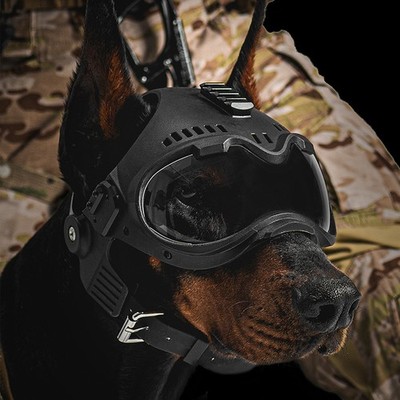 Hunting Training K9 Tactical Helmet Dog Patrol Pet Motorcycle Helmet ...