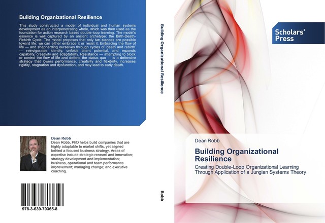 Building Organizational Resilience von Dean Robb (2013, Taschenbuch ...