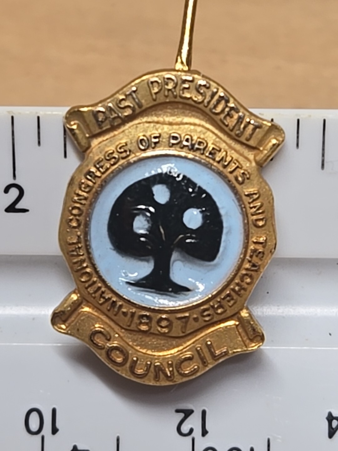 10k GF National Congress Of Parents And Teachers Past President Council ...