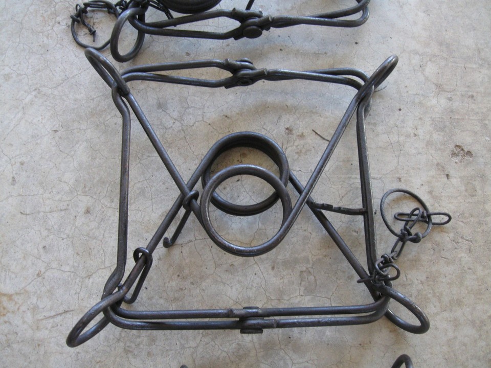 4 Conibear 280 Bodygrip Animal Traps w/ Chain - Racoon Skunk Otter | eBay