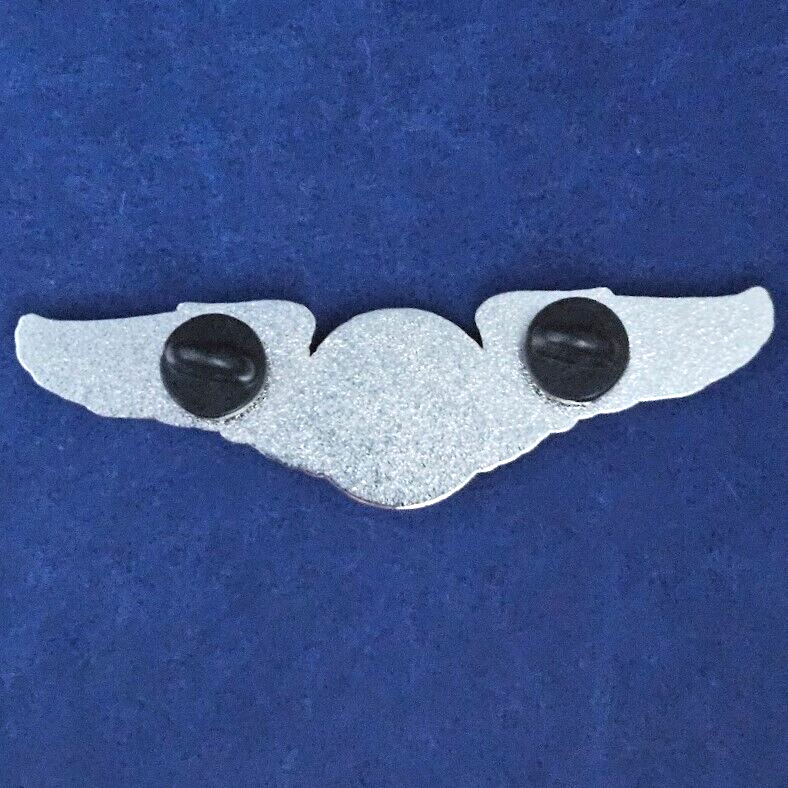 MEDICAL FLIGHT WING PIN: 3", Silver-Nickel Plated, #1404 | eBay