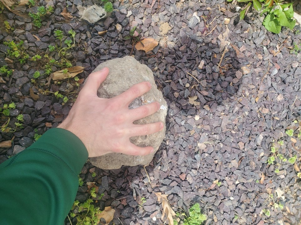 Keokuk Geode 4 INCH. Break Crack your own geodes from Tri-State Area ...
