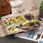 6 Pcs Lunch Trays for Adults Divided Plates Food Separator Dinner ...