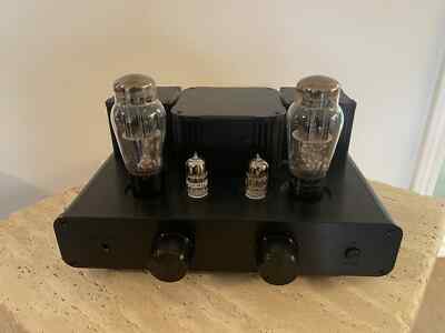 Woo Audio WA2 Tube Headphone Amplifier ($700 Tube Upgrades) | eBay