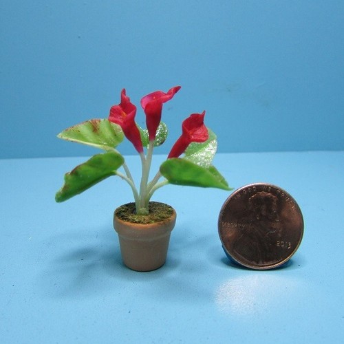 Dollhouse Miniature Red Calla Lily in Pot G6322 | eBay