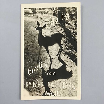 RPPC Hello Deer, Greeting From Rainier National Park WA Unposted | eBay