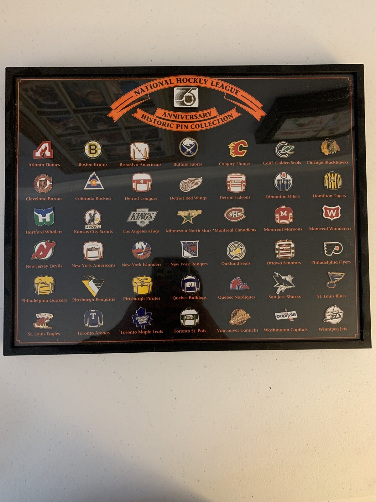 NHL 75th Anniversary Lapel Pin Set. 43 Pins. Excellent Condition. Rare ...