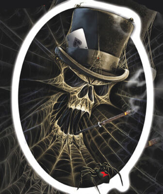 SPIDER WEB SKULL BIKER DECAL 7 INCH DECAL | eBay