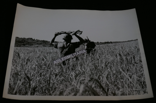 Vietnam War 8 x 10 Original Photograph 'Thumper & Radioman on Patrol ...